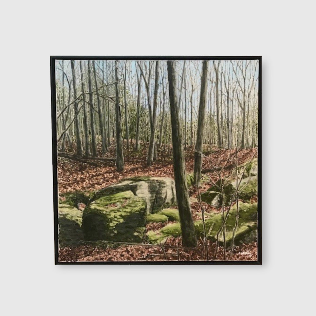 November Forest - Ed Novak – Eclipse Art Gallery