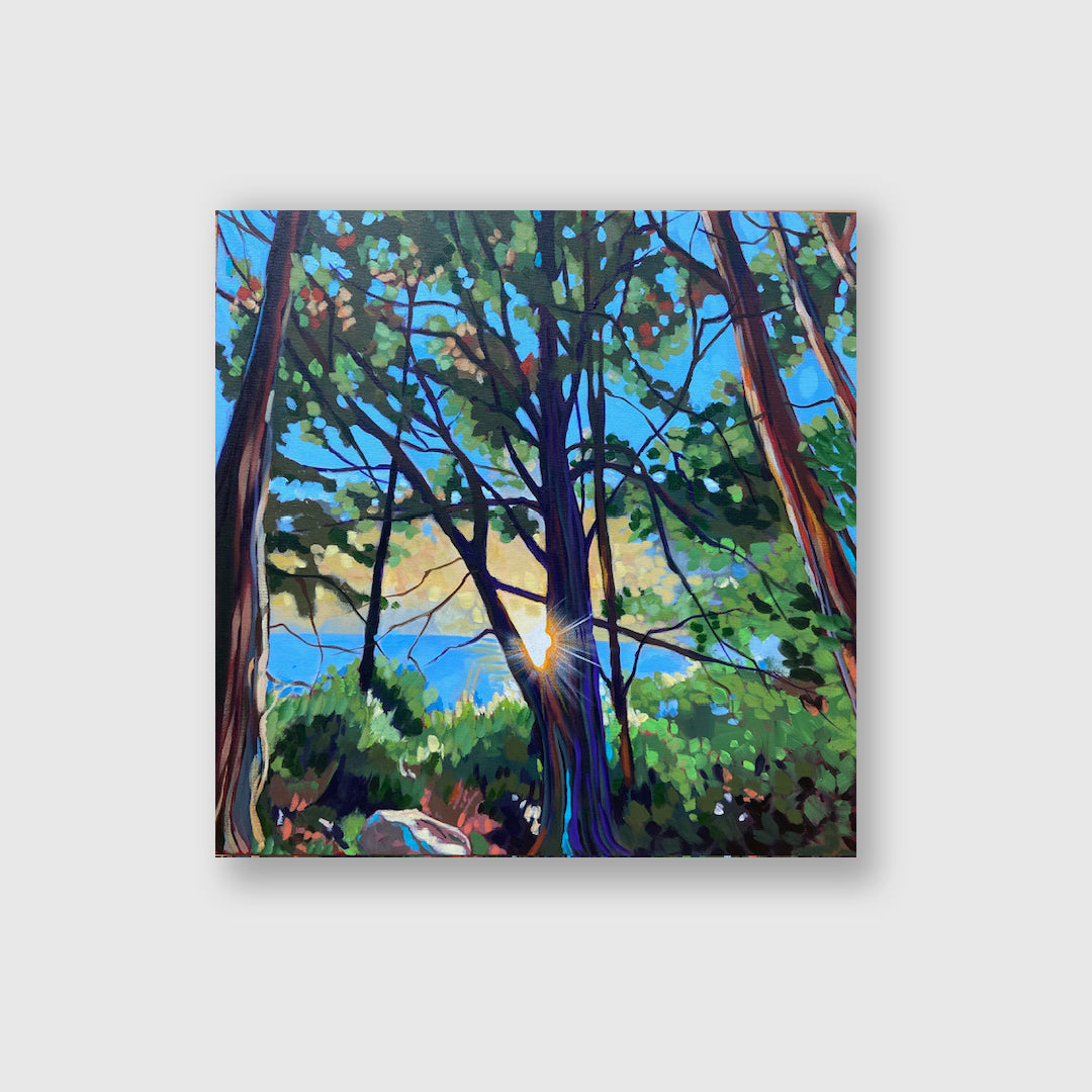 Cache Lake Morning, (Algonquin Park) - Helena Renwick – Eclipse Art Gallery